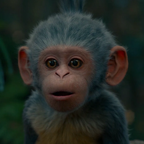 Cara De Botas De Dora La Exploradora