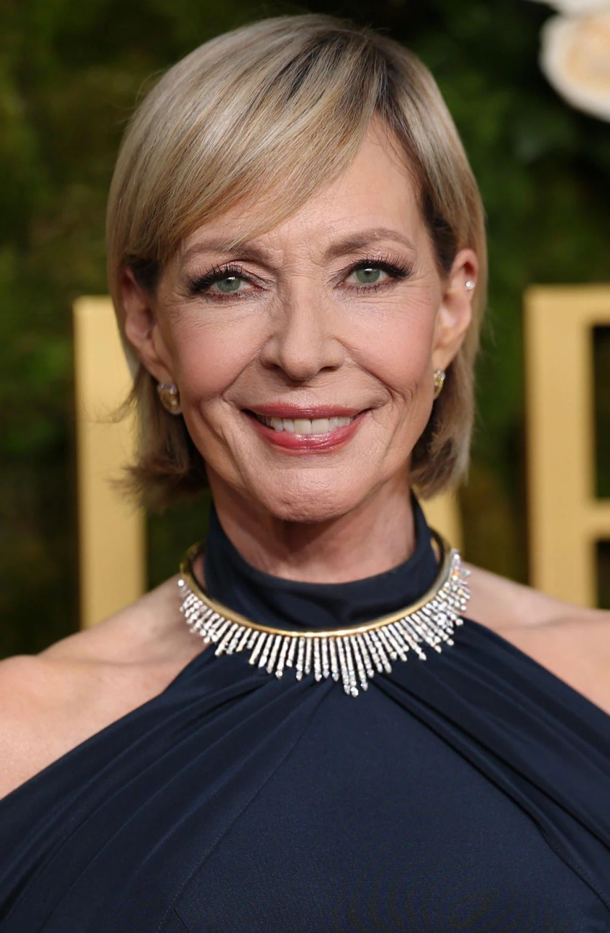 Allison Janney | Doblaje Wiki | Fandom