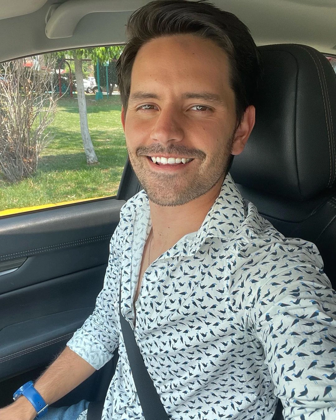 Dan Torres | Doblaje Wiki | Fandom