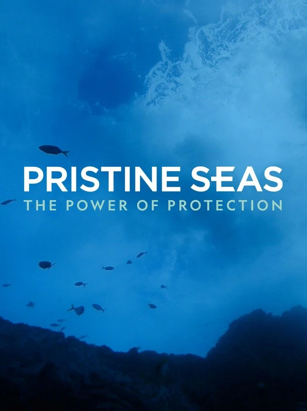 Pristine Seas: El poder de la protección | Doblaje Wiki | Fandom