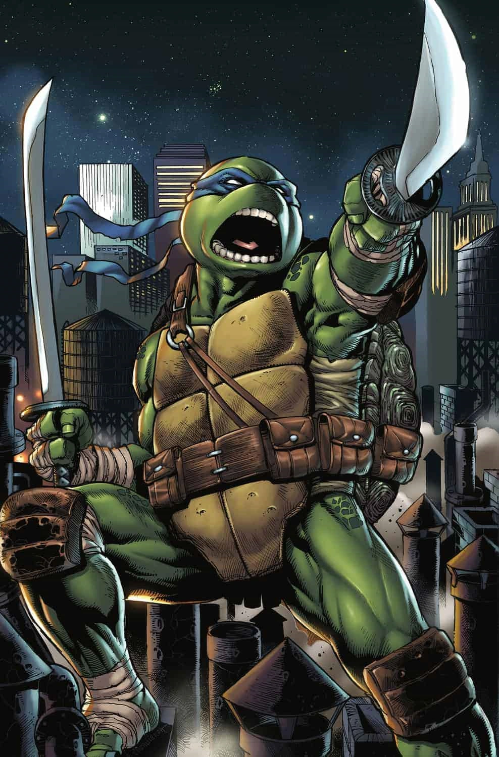 Leonardo (Tortuga Ninja) | Doblaje Wiki | Fandom