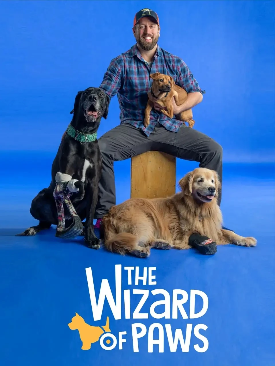 The Wizard of Paws | Doblaje Wiki | Fandom