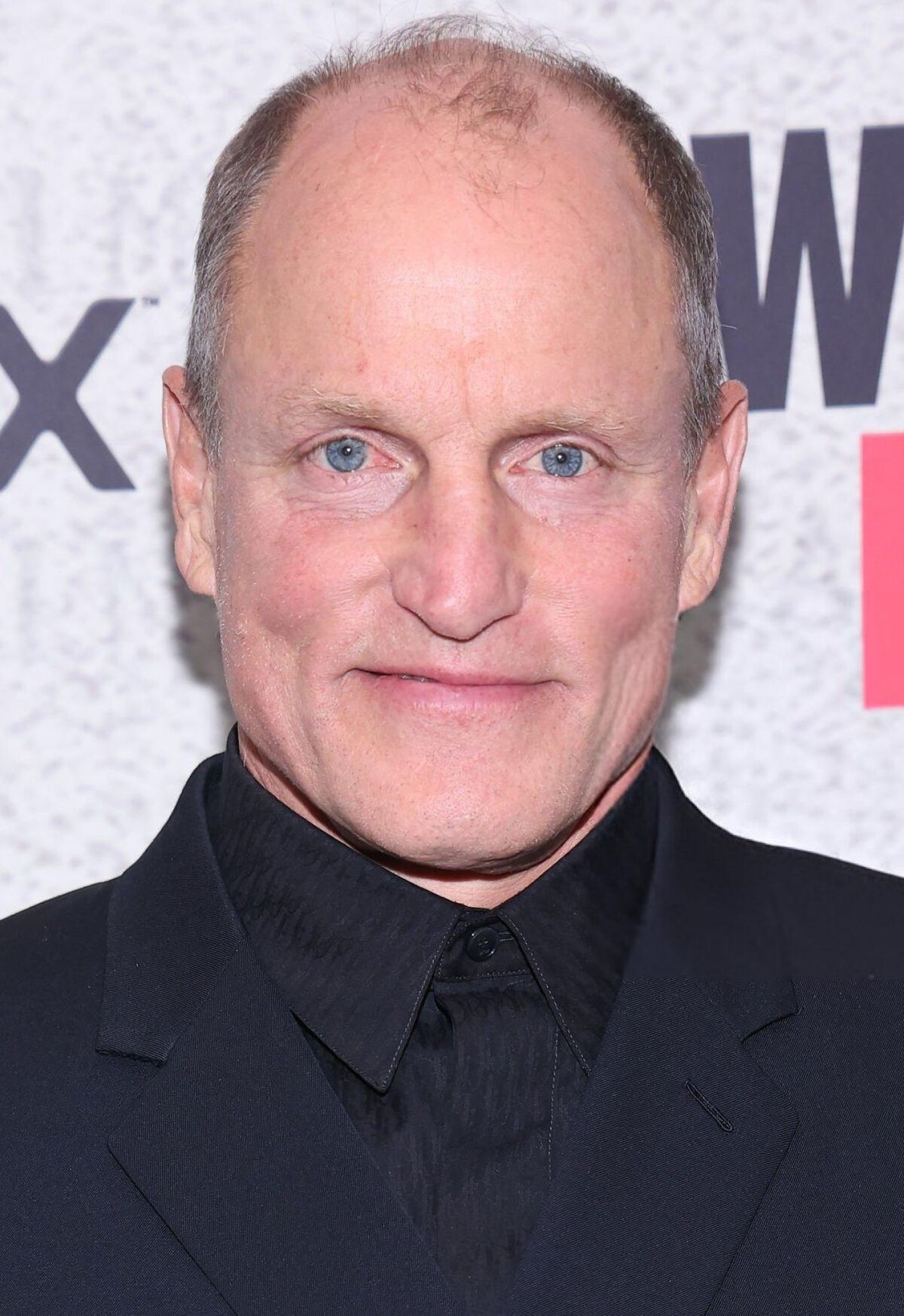 Woody Harrelson Doblaje Wiki Fandom