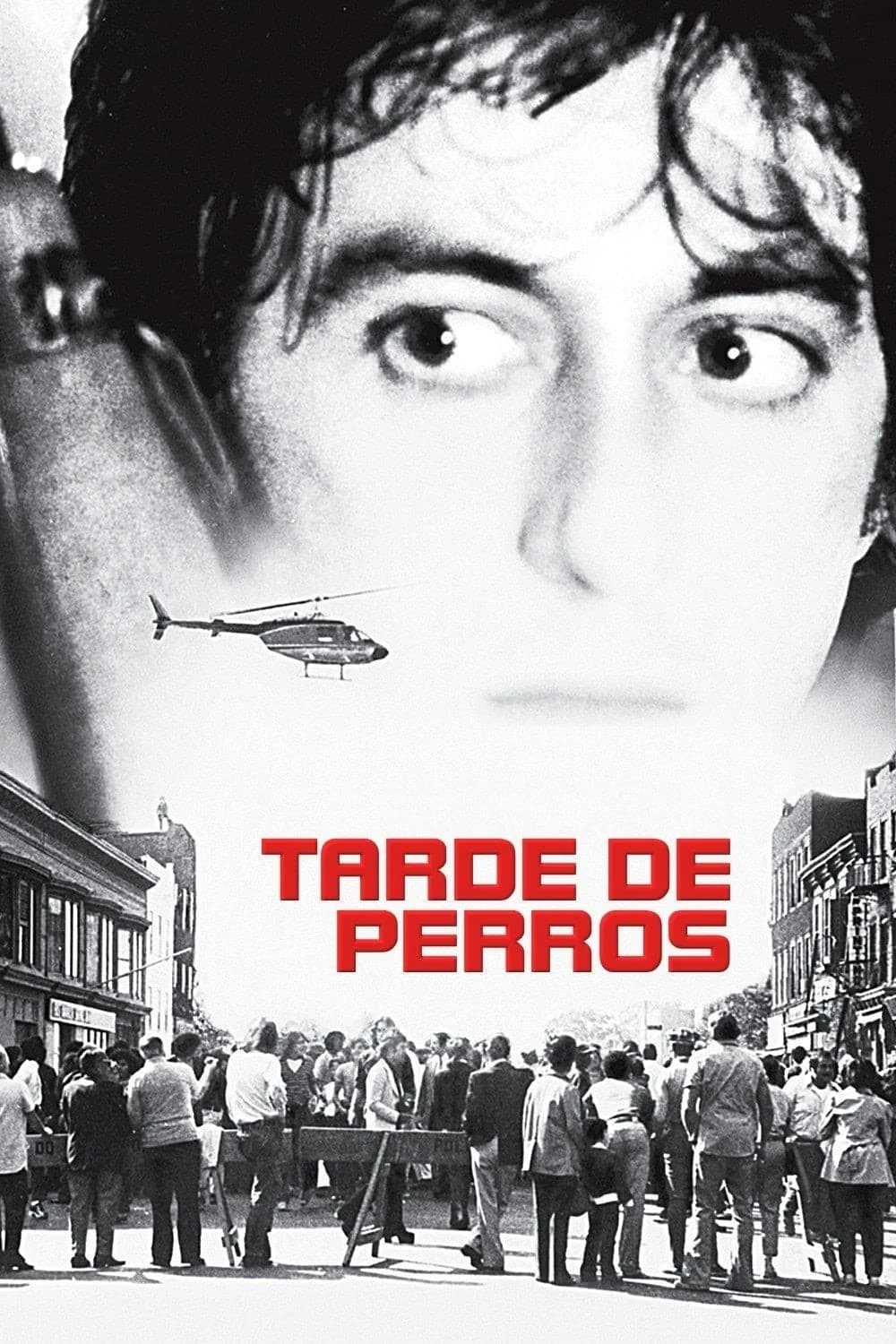 Tarde de perros | Doblaje Wiki | Fandom