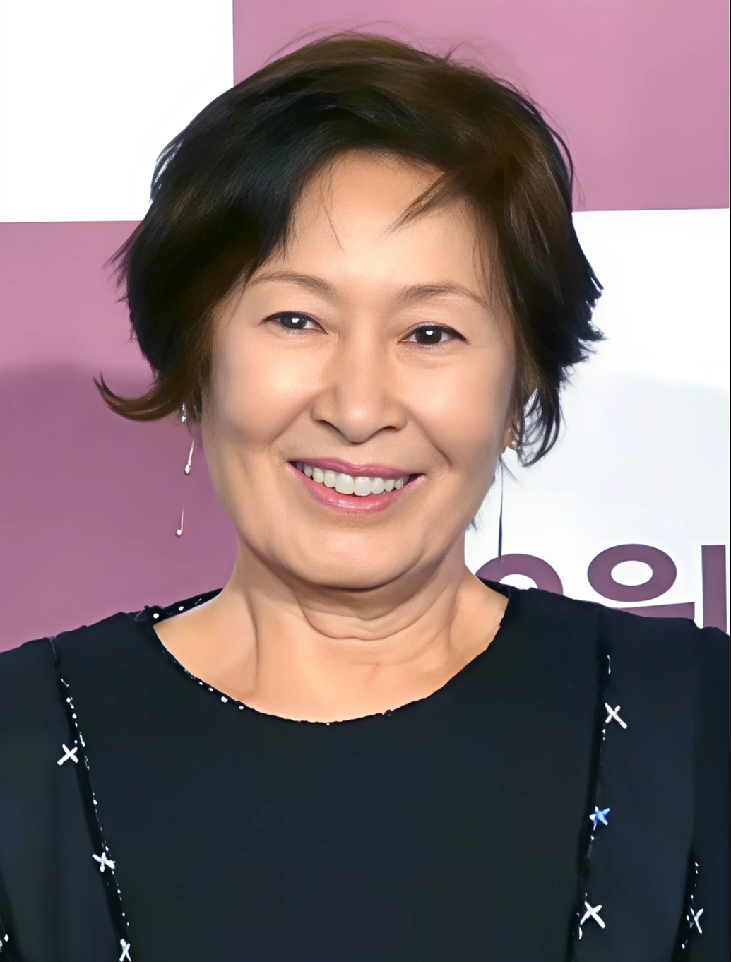 Kim Hye Ja | Doblaje Wiki | Fandom