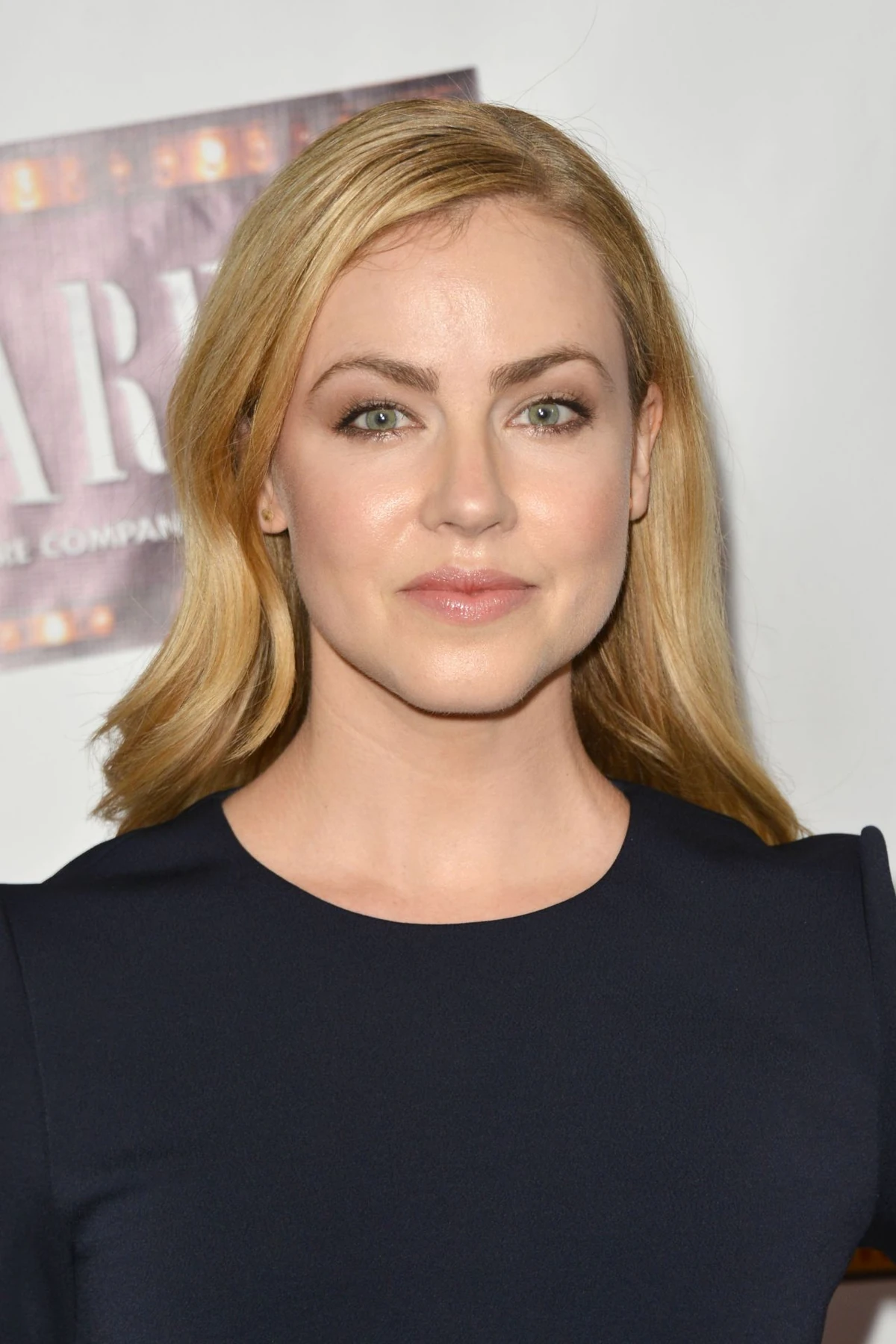 Amanda Schull | Doblaje Wiki | Fandom