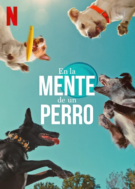 En la mente de un perro | Doblaje Wiki | Fandom