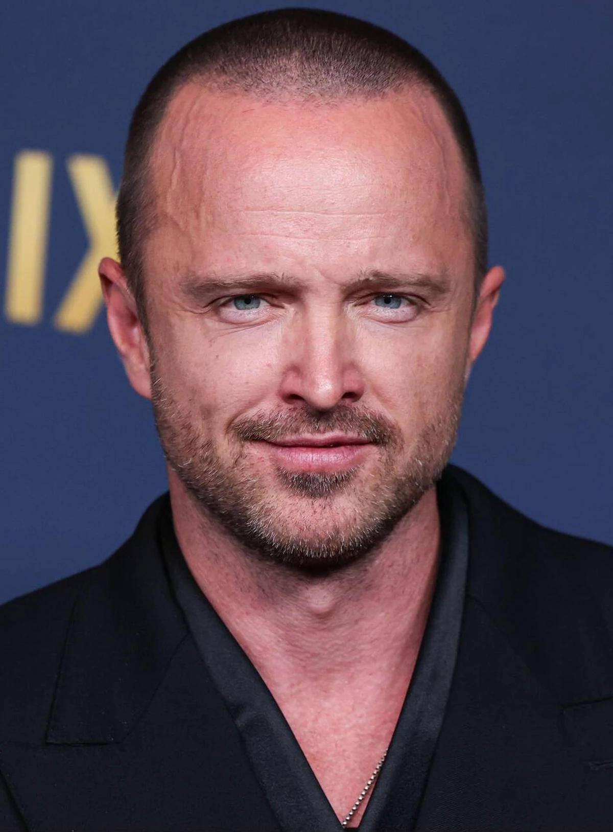 Aaron Paul | Doblaje Wiki | Fandom