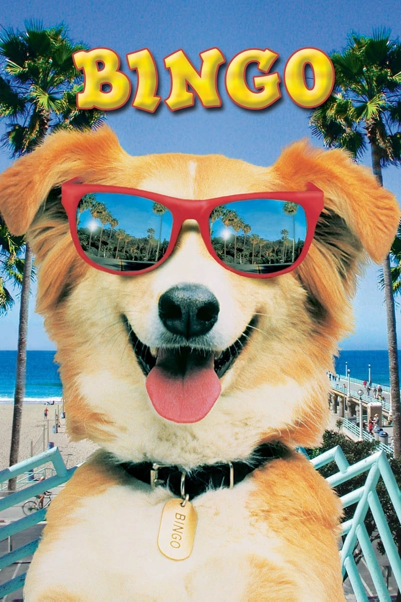 Bingo | Doblaje Wiki | Fandom