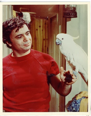 Baretta | Doblaje Wiki | Fandom