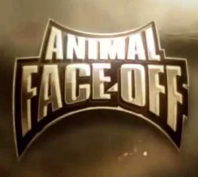 Duelo Animal | Doblaje Wiki | Fandom