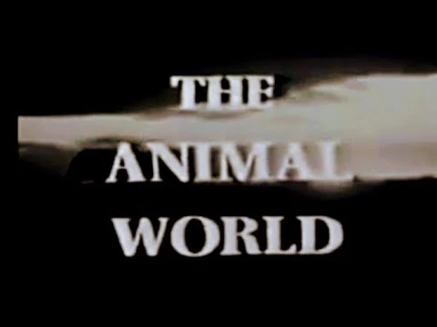 Mundo animal | Doblaje Wiki | Fandom
