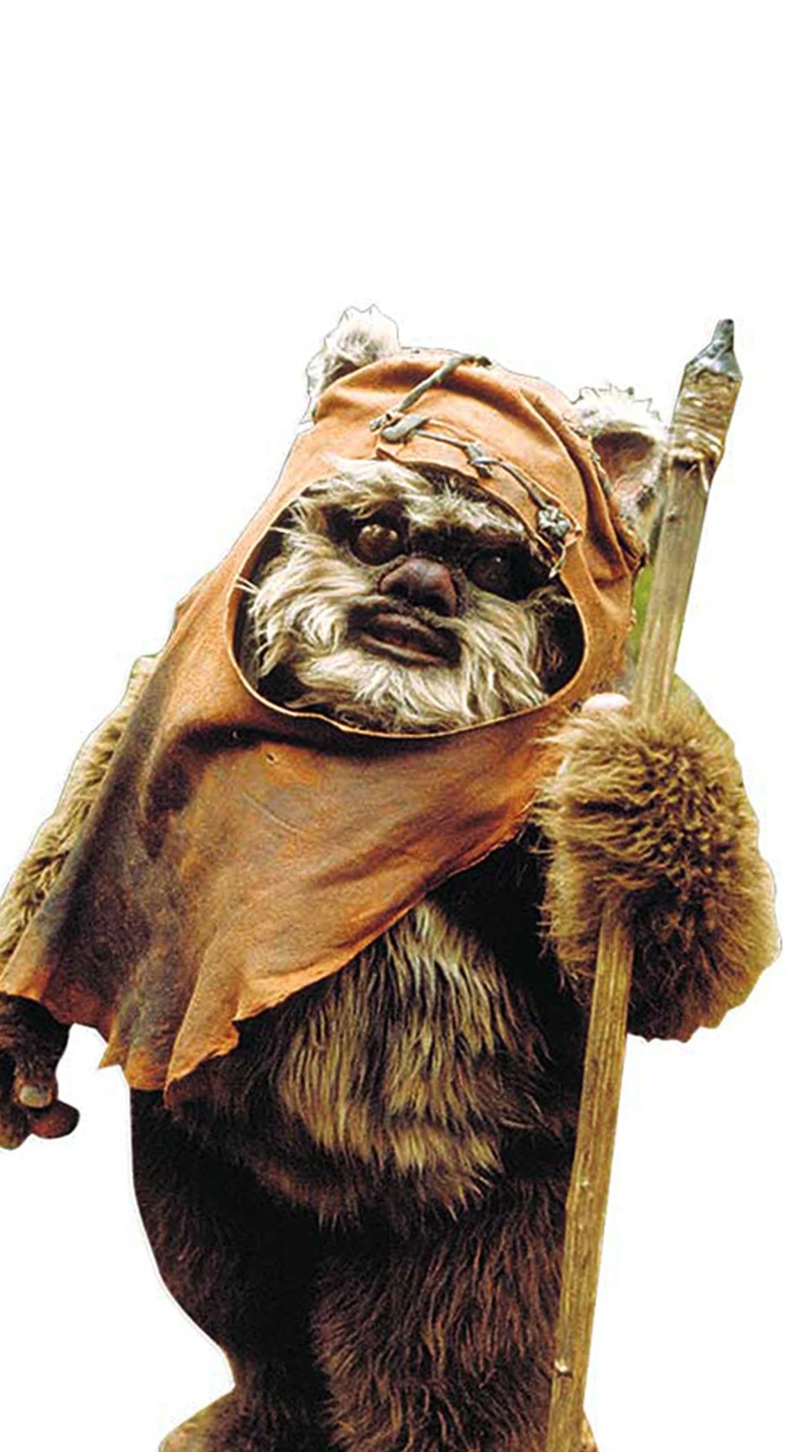 Wicket Warrick | Doblaje Wiki | Fandom