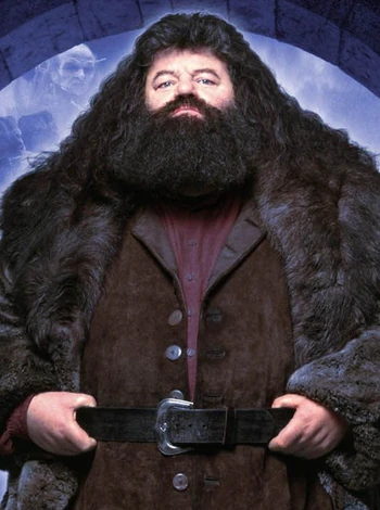 Rubeus Hagrid | Doblaje Wiki | Fandom