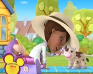 Moo Moo | Doc McStuffins Wiki | Fandom