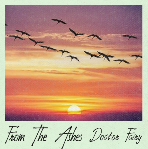 From The Ashes | Doctor Fairy Wiki | Fandom