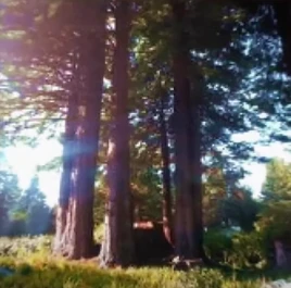 The Headless Macrocosm | Doctor Nowhere Creatures Wiki | Fandom