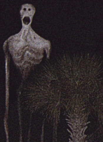 White Stranger | Doctor Nowhere Creatures Wiki | Fandom