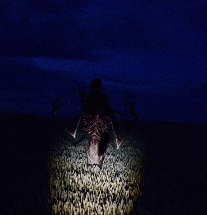 The Curse of Wheatfields Avenue | Doctor Nowhere Creatures Wiki | Fandom