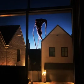 Amber | Doctor Nowhere Creatures Wiki | Fandom