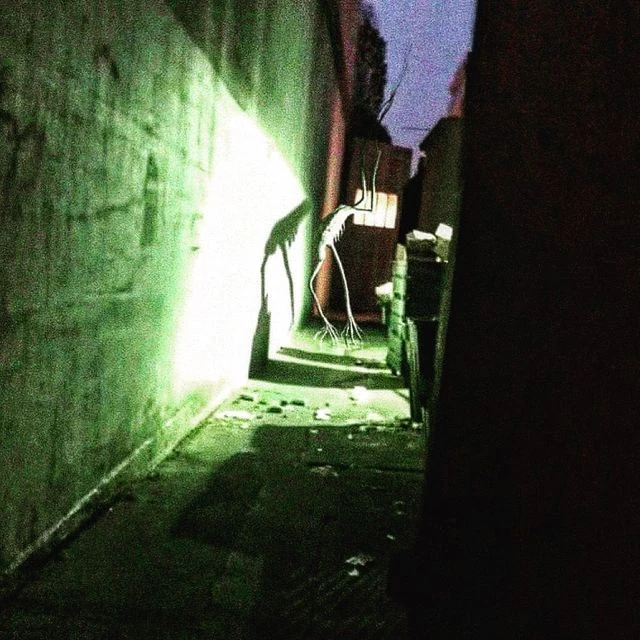 Lost Creature | Doctor Nowhere Creatures Wiki | Fandom