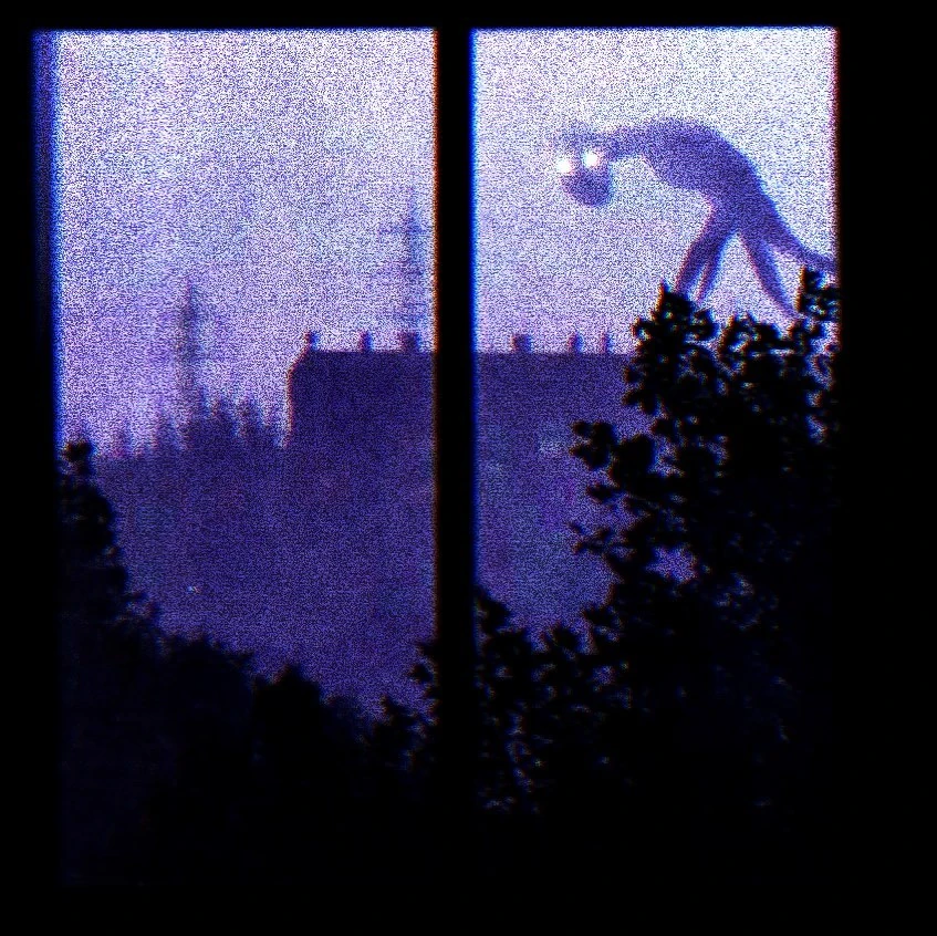 Silent night | Doctor Nowhere Creatures Wiki | Fandom