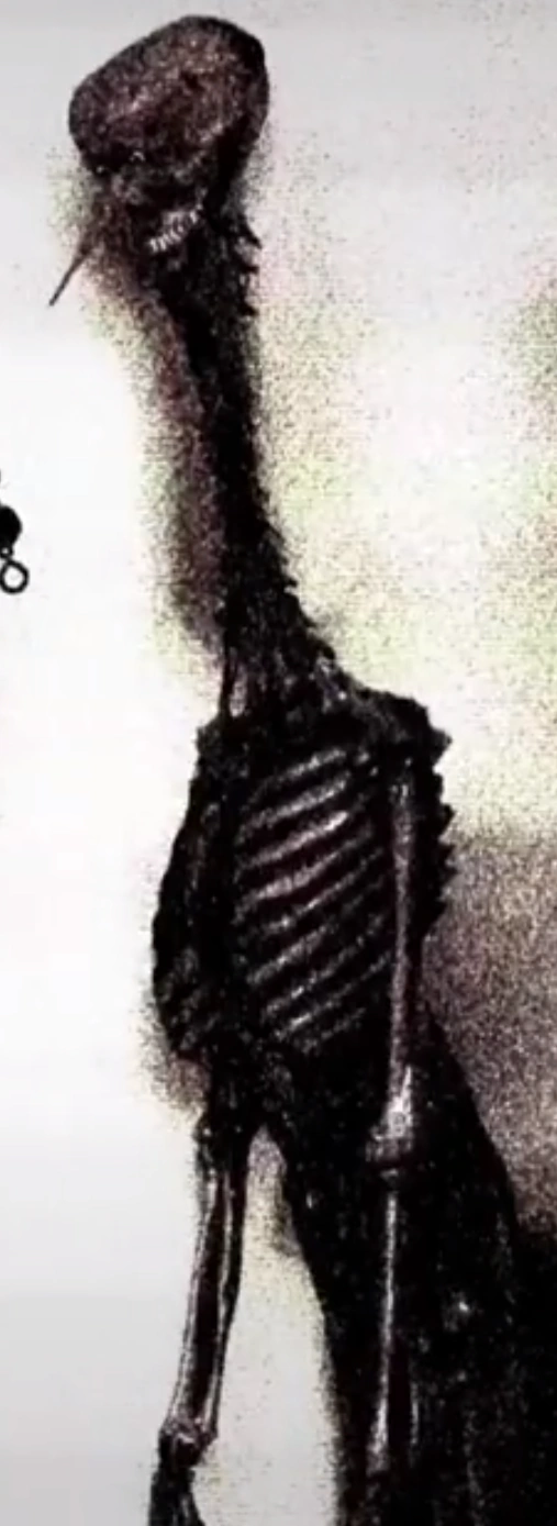 Spineman | Doctor Nowhere Creatures Wiki | Fandom