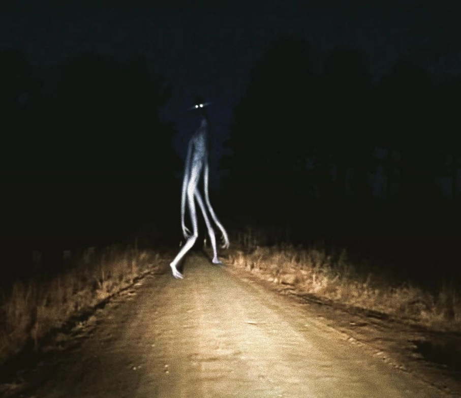 RoadWalker | Doctor Nowhere Creatures Wiki | Fandom