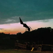 Cone Zone | Doctor Nowhere Creatures Wiki | Fandom