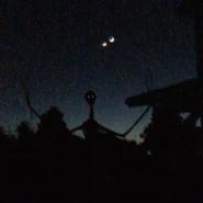 DarkWalker | Doctor Nowhere Creatures Wiki | Fandom