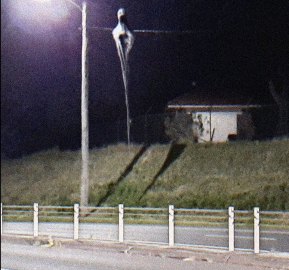 Griever of the Lavender Skies | Doctor Nowhere Creatures Wiki | Fandom