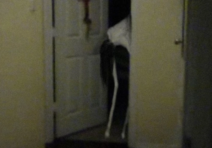 He woke up different | Doctor Nowhere Creatures Wiki | Fandom