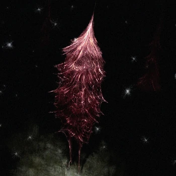 Spine Cones | Doctor Nowhere Creatures Wiki | Fandom