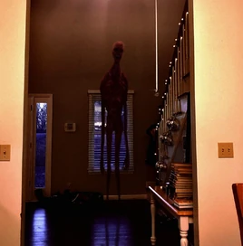 Screaming Skinless Corpse | Doctor Nowhere Creatures Wiki | Fandom