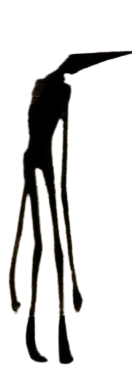 Cone Zone | Doctor Nowhere Wiki | Fandom