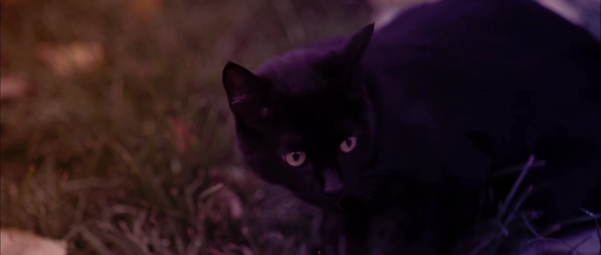 Satan (Doctor Who Velocity) | The Unlicensed Doctor Who Films Wiki | Fandom