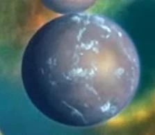 Clom | Doctor Who Wiki | Fandom