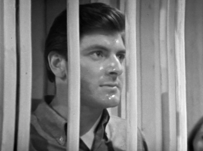 Steven Taylor | Doctor Who Concordance Wiki | Fandom