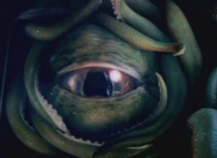 Bane | Doctor Who Concordance Wiki | Fandom