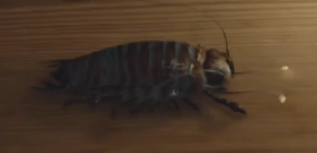 Dryaden | Doctor Who Torchwood Wiki | Fandom