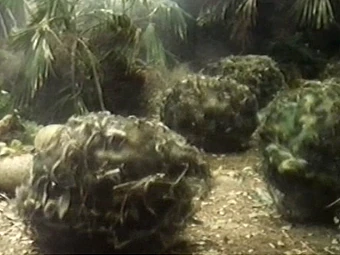 Wolfweed | Doctor Who Torchwood Wiki | Fandom