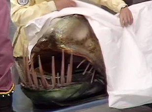 Raak | Doctor Who Torchwood Wiki | Fandom