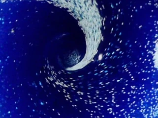 Mandragora Helix | Doctor Who Torchwood Wiki | Fandom