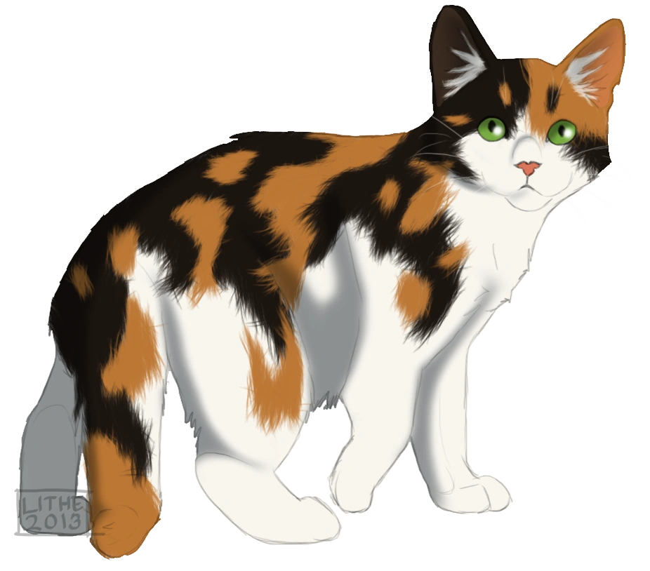 Dodo | Doctorwhowarriorcats Wikia | Fandom