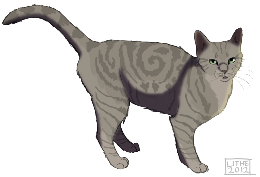 Shalka Doctor | Doctorwhowarriorcats Wikia | Fandom