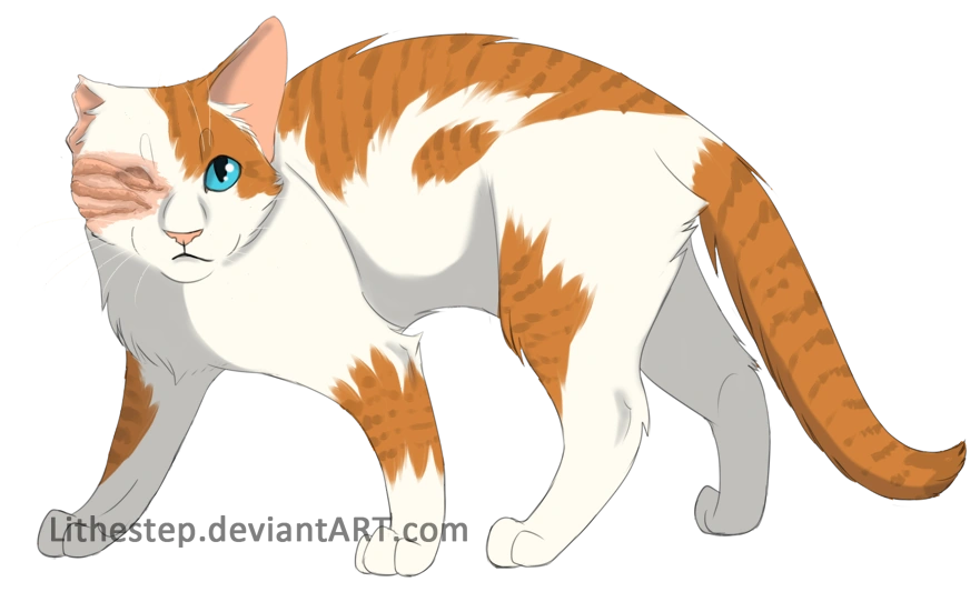 Brightheart | Doctorwhowarriorcats Wikia | Fandom