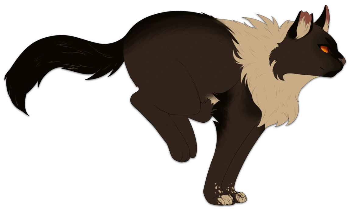 Dara (Rise of Dragons) | Doctorwhowarriorcats Wikia | Fandom