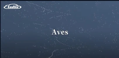 5 Aves | Wiki Documentales de naturaleza | Fandom