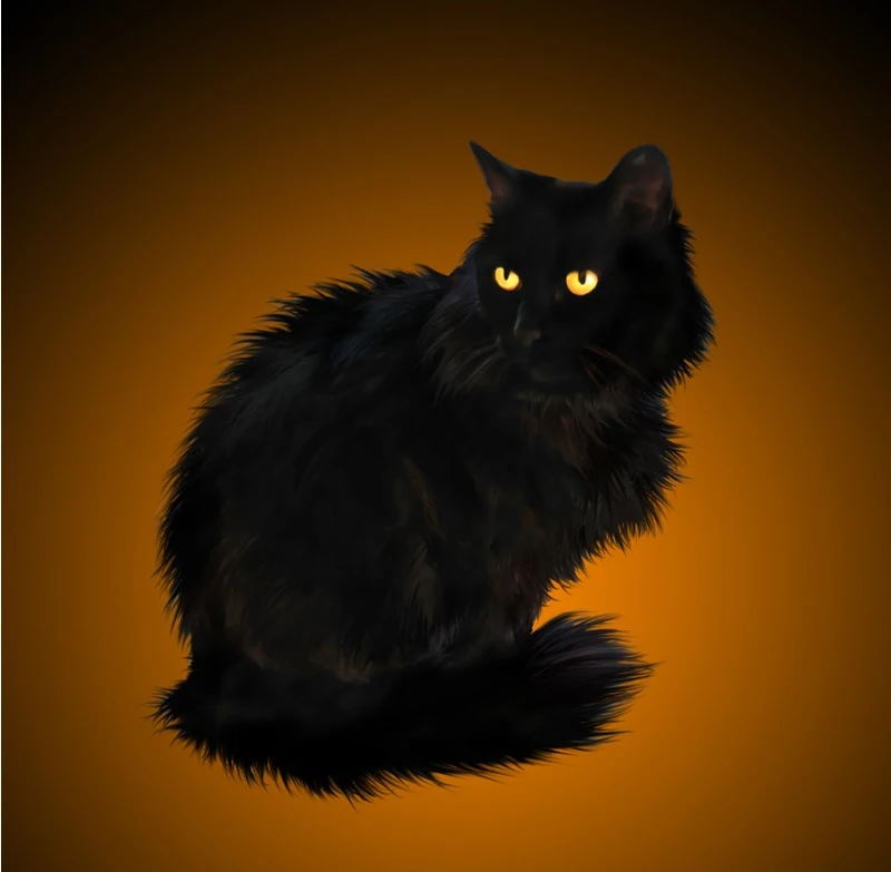 Acamas | Wiki Donjons et dodécaèdres | Fandom