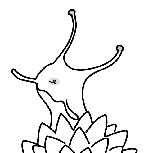 The Island | Dododex Fan Fiction Wiki | Fandom